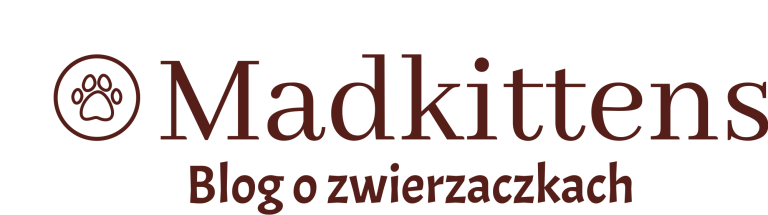 Turecki van - charakter, pielęgnacja, żywienie | Madkittens.pl